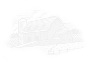 Visit McCadam | McCadam Cheese