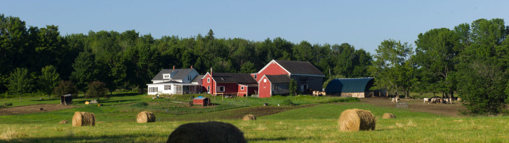 Visit McCadam | McCadam Cheese