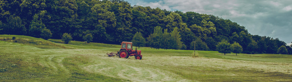 History of McCadam Cheese | McCadam Cheese